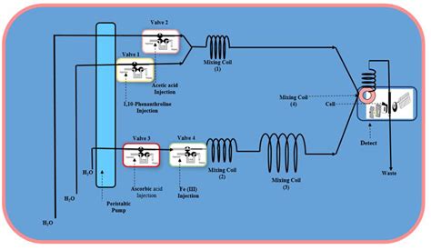 Schematic Diagram Of The Merging Zone Via Flow Injection Analysis Download Scientific Diagram