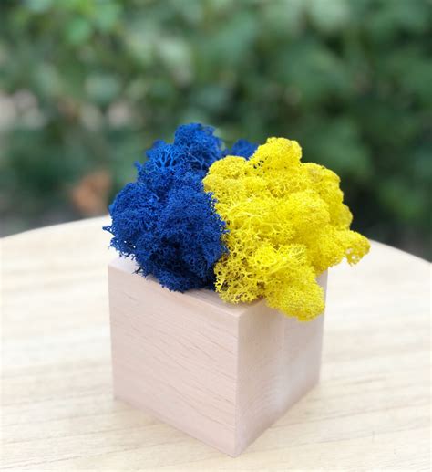 Семена чиа Польза противопоказания и как употреблять