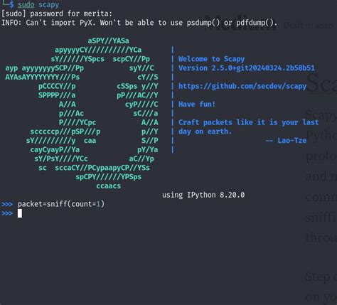 Scapy101 Packet Sniffing In Three Simple Steps By Thisbarbieisanengineer Medium