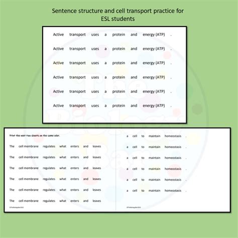 ESL Biology Cell Transport Sentence Review Made By Teachers