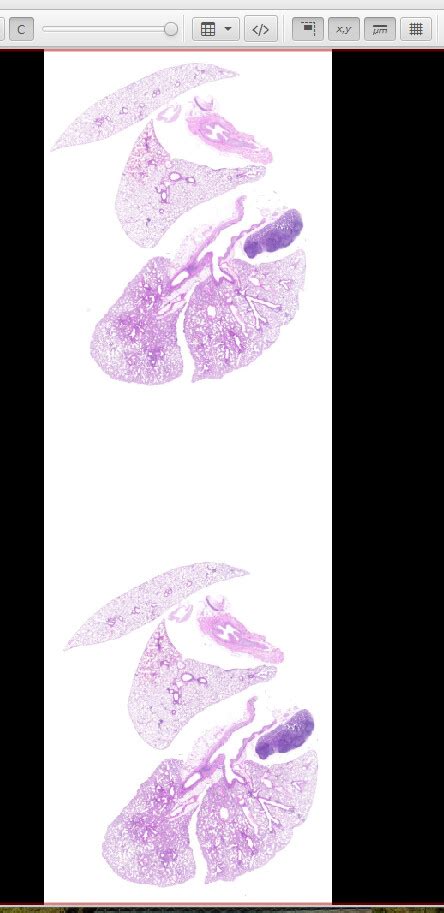openslide and qupath pixelation and background color abnormality in
