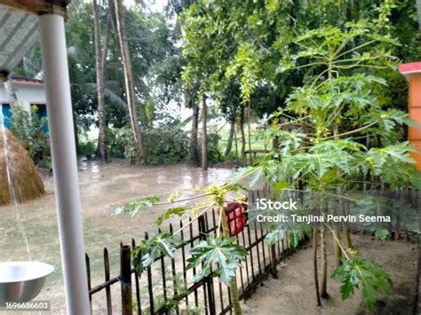 길은 마을의 아름다운 나무들 사이로 이어집니다 도로 나무와 아름다운 안개 낀 하늘 0명에 대한 스톡 사진 및 기타 이미지 0명 계절 나무 Istock