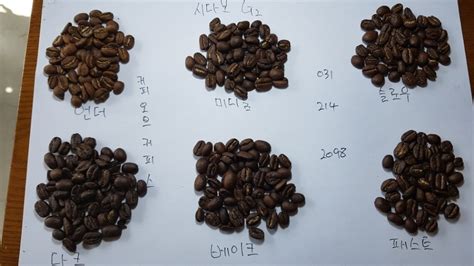 같은 생두라도 어떻게 로스팅을 했냐에 많은 차이가 나지요 로스팅방법공개 로스팅구분 로스팅단계로스팅기법유럽로스팅 네이버 블로그