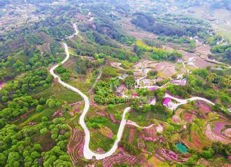 安徽岳西道路通畅 产业兴旺 人民图片网