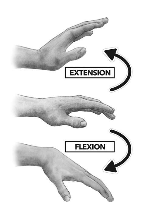 Crossfit Movement About Joints Part 3 Wrist