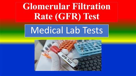 Lab Work Glomerular Filtration Rate At Alice Wollstonecraft Blog