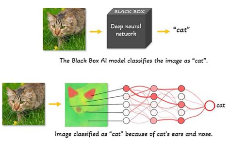 Schematic Representation Of Working Of Artificial Intelligence Models