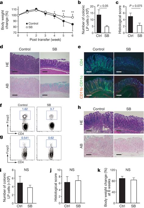 Butyrate Ameliorates T Cell Dependent Experimental Colitis A F Download Scientific Diagram