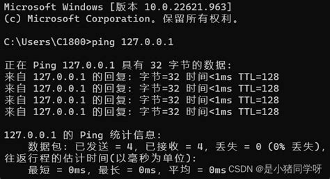 实验131：测试本地主机的ip设置是否正确命令 Ping主机名”与 Ping Localhost”的结果有何不同 Csdn博客