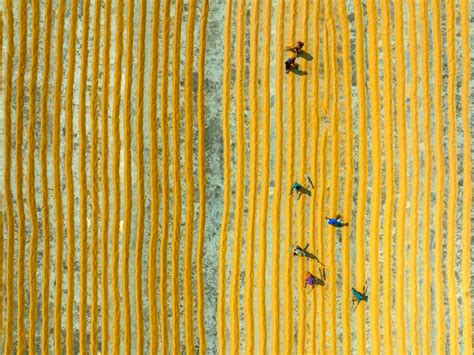 What Is Usage Patterns Focuskeeper Glossary