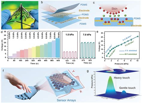 Highly Flexible And Intrinsically Stretchable Self‐power Sensor Array Download Scientific