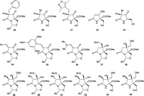 Selected Bioactive Right Hand Fragment Derivatives Download