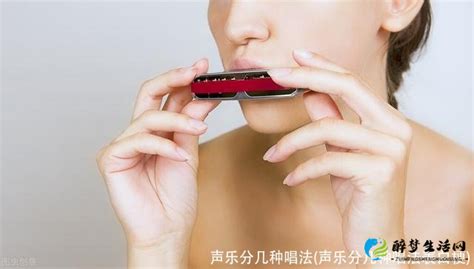 声乐分几种唱法 声乐分几种唱法表白梗 醉梦生活网