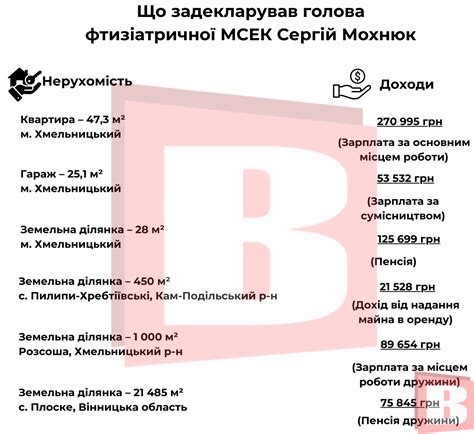 Декларації голів комісій хмельницького МСЕК Vsim Ua