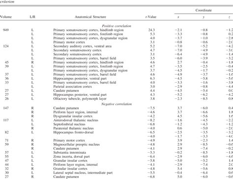 Somatosensory Cortex Stimulus Related Functional Connectivity In Download Scientific Diagram