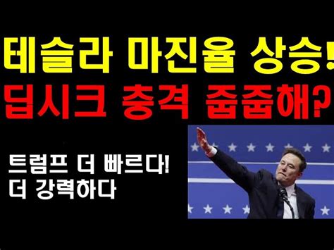 테슬라 마진률 급상승 딥시크 충격 엔비디아 테슬라 어떻게 더 줍줍 기회인가 전기차 보조금 없어도 테슬라가 잘나갈 이유 정해진 미래 전기차 시대 팔란티어 비트코인 충격 벗어나