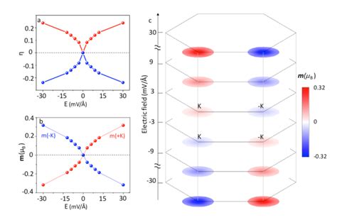 Dft Calculation Of Magnetoelectric Effect And Associated Pl