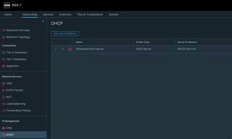 Enable Dns Resolution For Public Urls From Oracle Cloud Vmware Solution