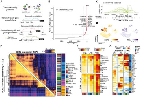Integrative Multi Omics Analysis Identifies Key Regulatory Modules