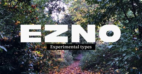 Experimental Types