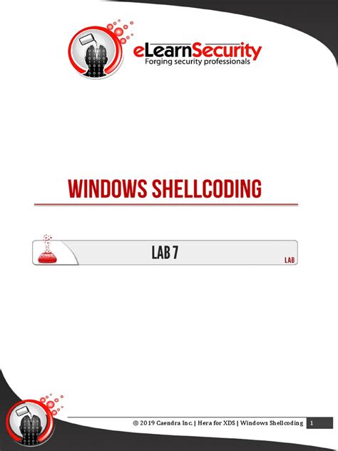 Lab7 Windows Shellcoding Pdf Software Development Computing