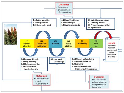 Holistic Value Chain Framework For The Promotion Of Nus Download