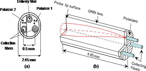 A Schematic Diagram Frontal View Of The Polarization Gating Fiber Download Scientific