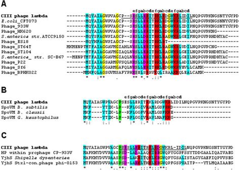 The Multi Sequences Alignment Was Done Using The Clustalx Version