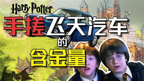 为攻读二年级，哈利究竟经历过什么？【哈利波特下饭精讲06】 一只特立独行的ju 一只特立独行的ju 哔哩哔哩视频