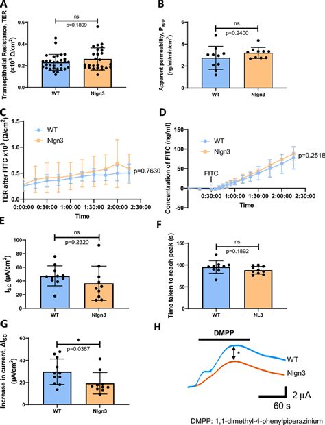 Transepithelial Resistance Ter And Paracellular Permeability Of Wt Download Scientific