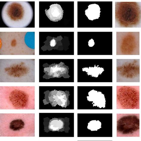 Illustrations Of The Segmentation Results After Saliency Detection Download Scientific Diagram