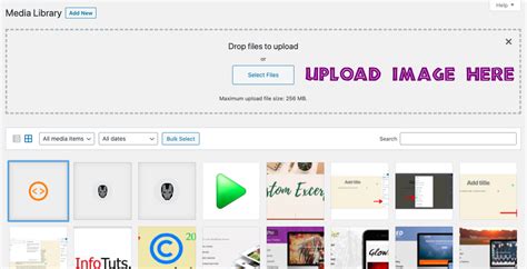 How To Replace Bullet List Point With Images In Wordpress Infotuts