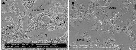 Laves Phase In The Form Of Needles A 0 5 Nb Aging At 850°c 60 Min Download Scientific