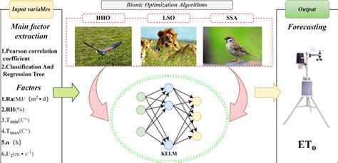 Three Affine Optimization Algorithms Used For Optimizing The KELM