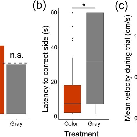 Testing Trial Performance Of Wasps Trained Across Stimulus Treatments