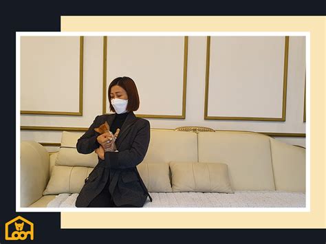 코리안숏헤어 책임분양 페르시안친칠라 구미강아지분양 애견분양샵 서울강아지분양 유기견센터 애완용강아지종류 대구유기견 반려견무료분양 빅토리아펫보호소 입양완료