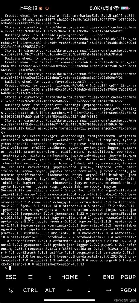 2024年用termux完美安装jupyter及解决maturin报错问题 Termux Jupyter Csdn博客