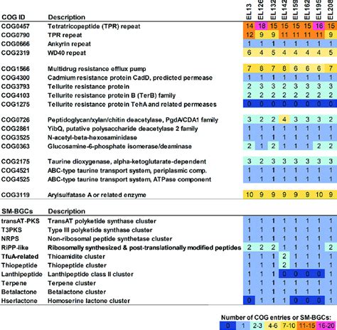 Selected Cog Functions Characteristic Of The Roseibium Album Labrenzia