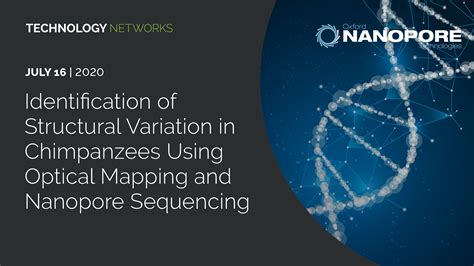Identification Of Structural Variation In Chimpanzees Using Optical Mapping And Nanopore Sequencing