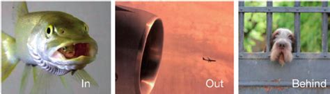 Prepositions In Vision Prepositions Represent The Spatial