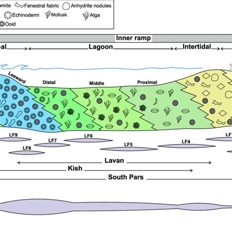 Schematic Depositional Model Showing Major Depositional Setting On A
