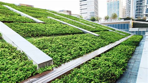 屋顶绿化 深圳市远岫生态科技有限公司