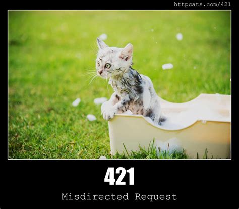 421 Misdirected Request Status Code And Cats