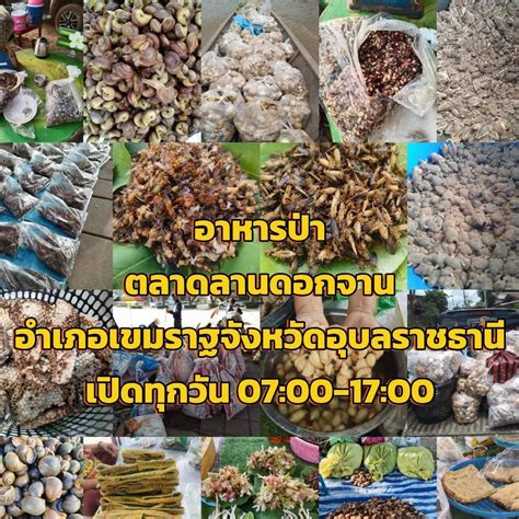 ตลาดลานดอกจานอำเภอเขมราฐจังหวัดอุบลราชธานี ตลาดลานดอกจาน อำเภอเขมราฐ จังหวัดอุบลราชธานี