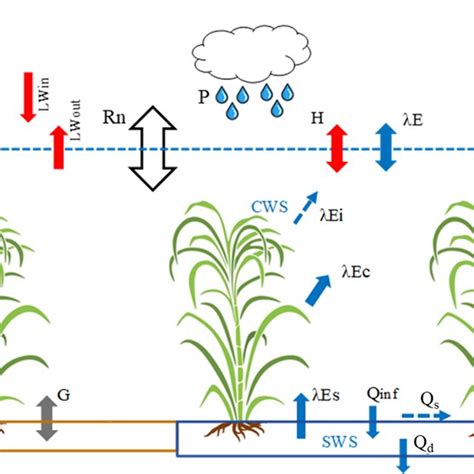 Major Land Surface Processes Simulated In Sven These Processes Include Download Scientific