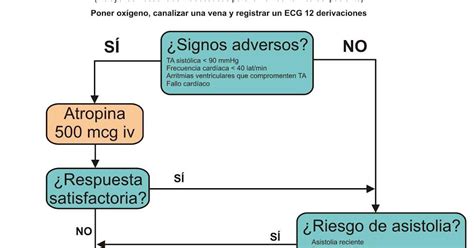 Revisiones Bibliográficas Tyo Web Algoritmo De Bradicardia