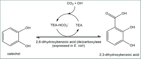 Triethylamine Reaction