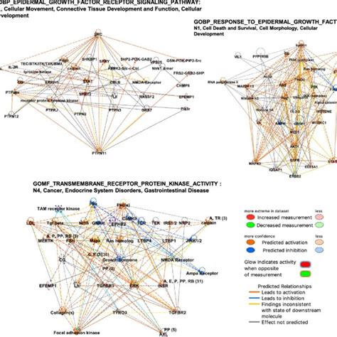 Among The Networks Obtained By Ipa And Listed In Supplementary Table 7