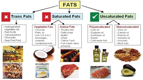 Image Result For Types Of Fats And Examples Fat Foods Saturated Fat