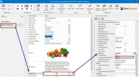 Devexpress Datagrid 与imageedit以及如何存图片到数据库dev Imageedit Csdn博客